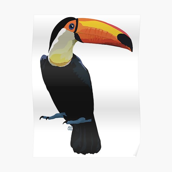 "Toco toucan(Ramphastos toco)" Poster by Alawstrations | Redbubble