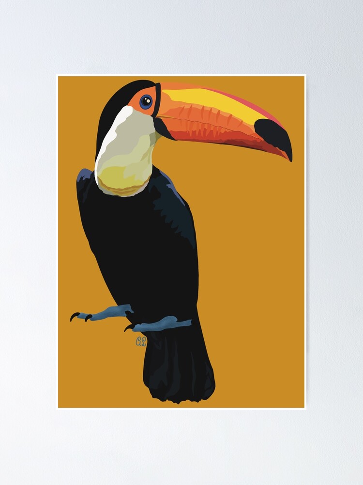 "Toco toucan(Ramphastos toco)" Poster for Sale by Alawstrations | Redbubble