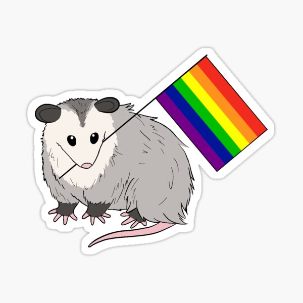 "Rainbow Pride Possum" Sticker for Sale by hawth-art | Redbubble