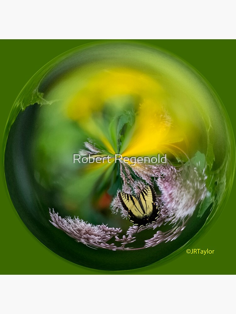 ""Butterfly Orb"" Sticker for Sale by Dloneger | Redbubble