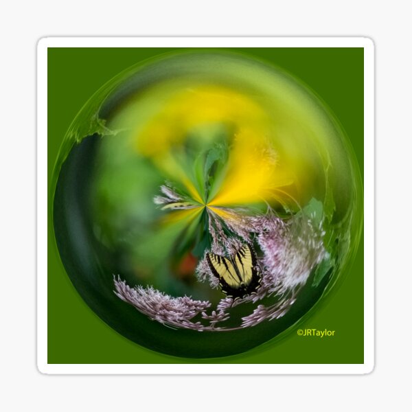 ""Butterfly Orb"" Sticker for Sale by Dloneger | Redbubble