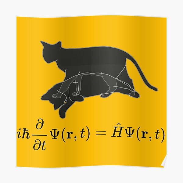 "schrodinger equation" Poster for Sale by manueltiffer | Redbubble