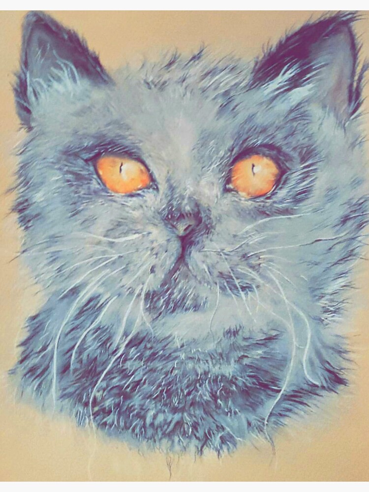 "Winston the Cat: Full Portrait " Sticker for Sale by GiannaDasGupta ...