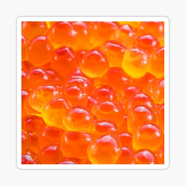 "Red Caviar" Sticker for Sale by MonsaviFashion | Redbubble