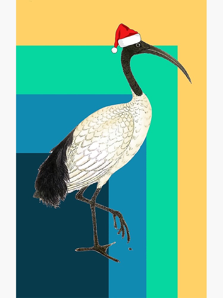 "Australian Ibis Christmas" Poster by tkathleen99 | Redbubble