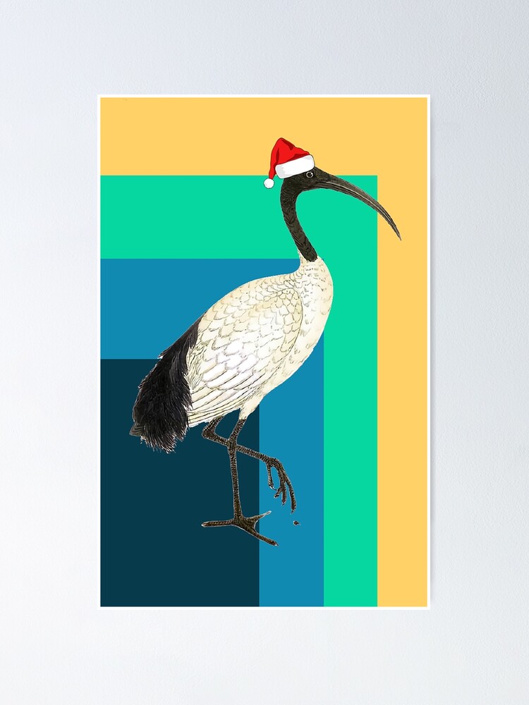 "Australian Ibis Christmas" Poster by tkathleen99 | Redbubble