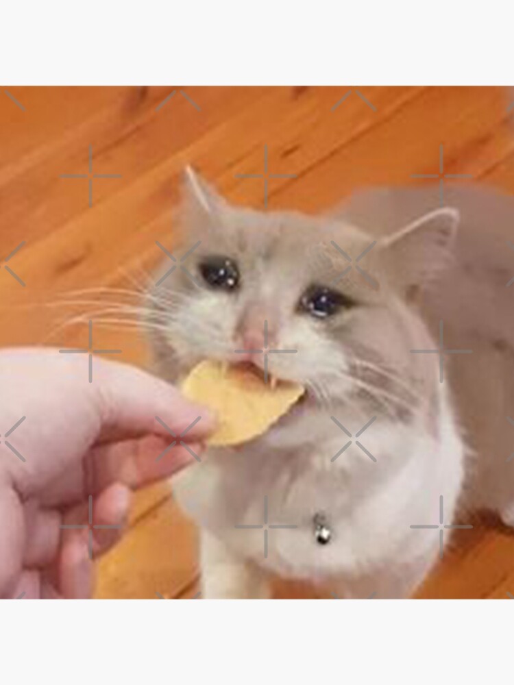 "sad cat eats chip" Poster for Sale by cheapfan | Redbubble