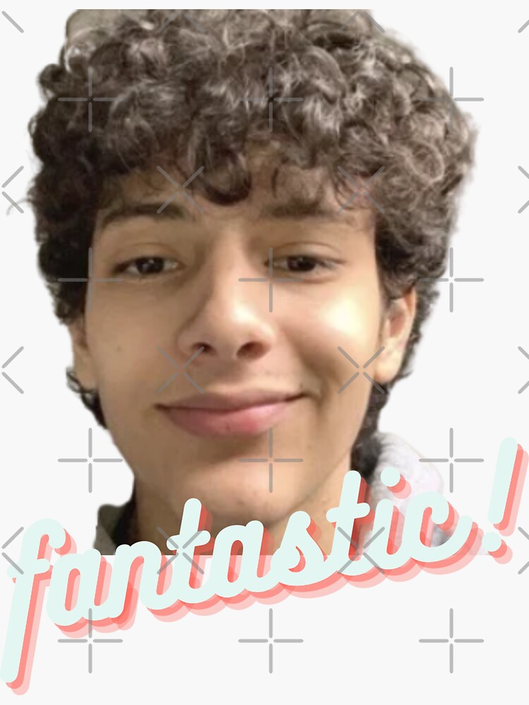 "hamzah the fantastic funny tiktoker meme shirt" Sticker for Sale by ...
