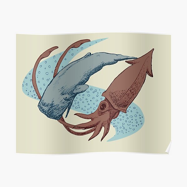 "Pottwal gegen Riesenkalmar" Poster von silverman00 | Redbubble