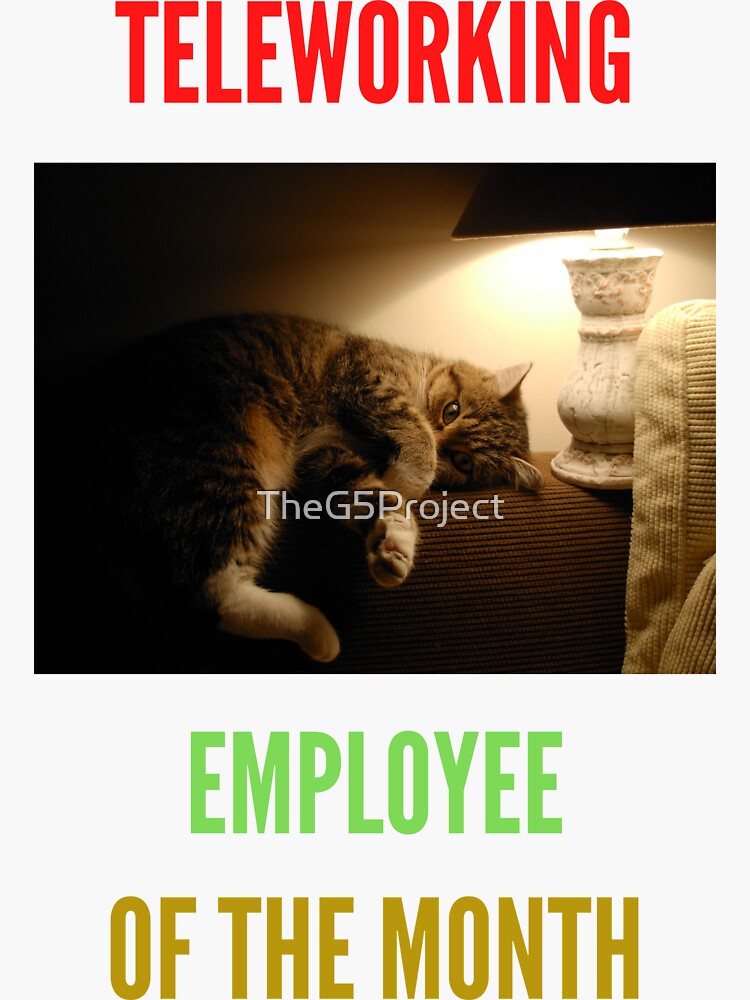 "Teleworking Cat III" Sticker for Sale by TheG5Project | Redbubble