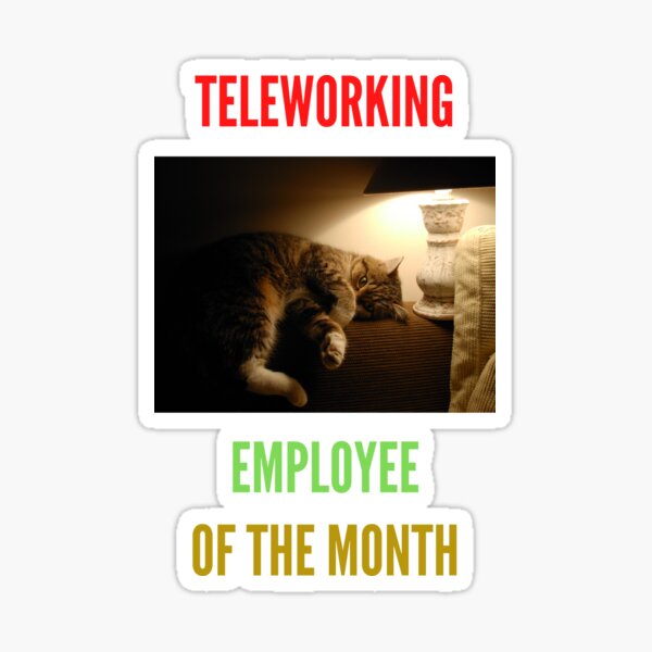 "Teleworking Cat III" Sticker for Sale by TheG5Project | Redbubble