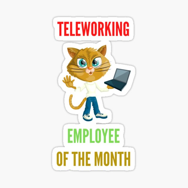 "Teleworking cat IV" Sticker by TheG5Project | Redbubble