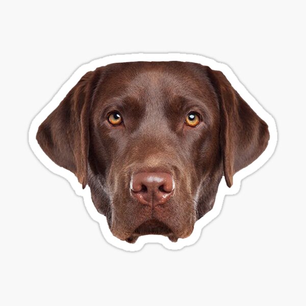 "Chocolate labrador retriever" Sticker for Sale by DarkArtStudio ...