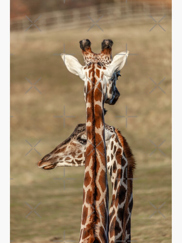 "Gotcha your back Covered" Sticker for Sale by Dalyn | Redbubble