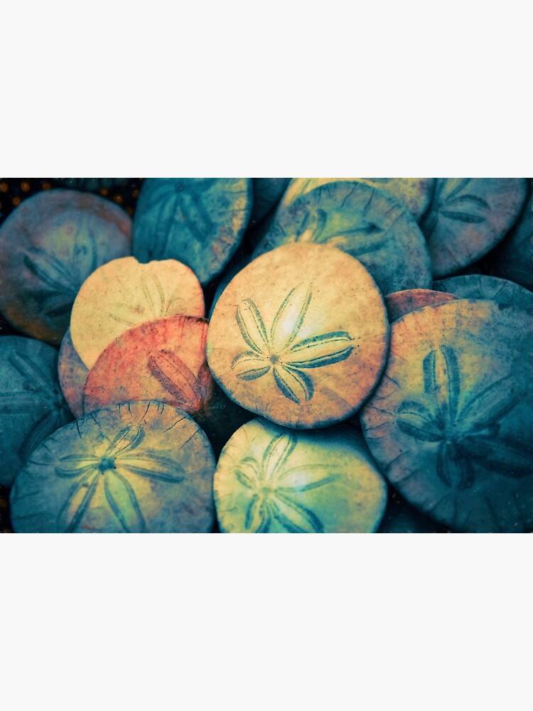 "The Dollar Store" Poster for Sale by Bassbro | Redbubble