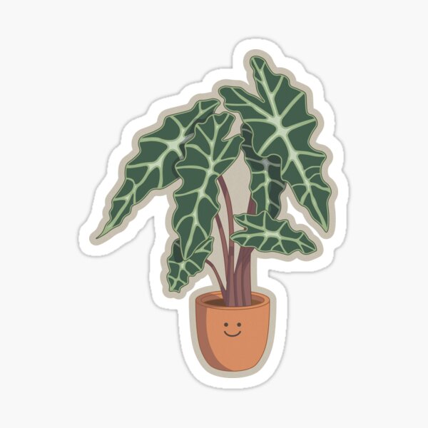 "Cute Kris Plant Alocasia Smiley Vase" Sticker by bego-art | Redbubble