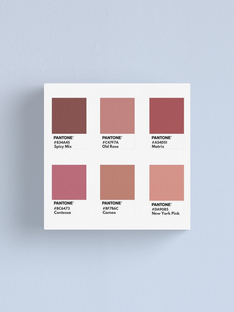 Pantone Sheer Pink Pantone Colour Palettes Pantone Palette Pantone ... Pantone Sheer Pink Pantone Colour Palettes Pantone Palette Pantone ...