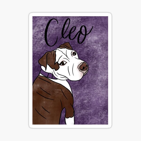 "Cleo " Sticker for Sale by laurnelder | Redbubble