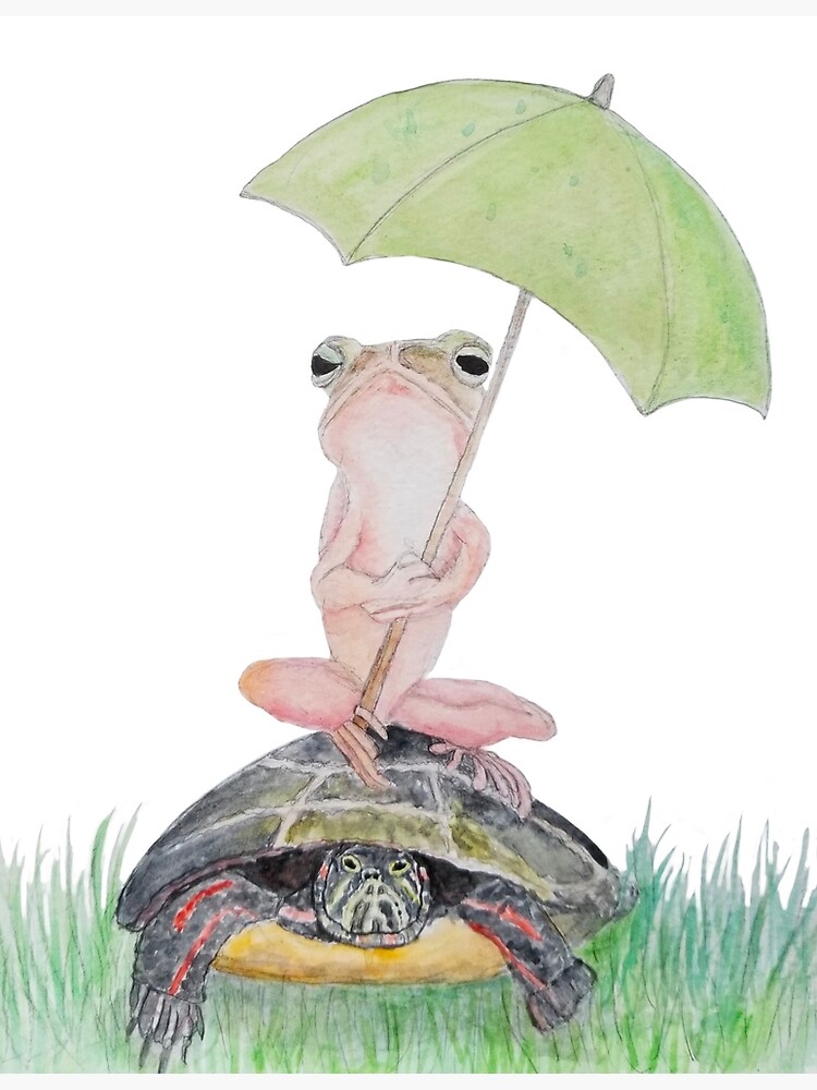 Rana Y Tortuga Combinadas