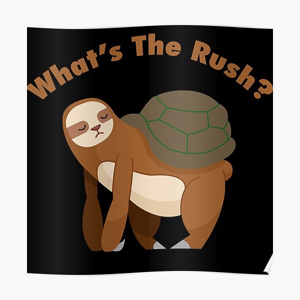 "Funny Sloth Turtle Shell" Poster for Sale by andrew2024 | Redbubble
