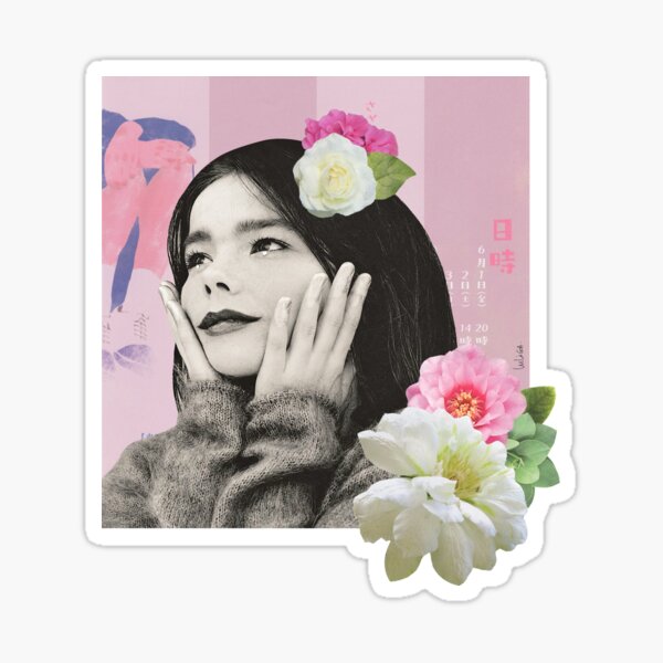 "Bjork collage" Sticker by luliga | Redbubble