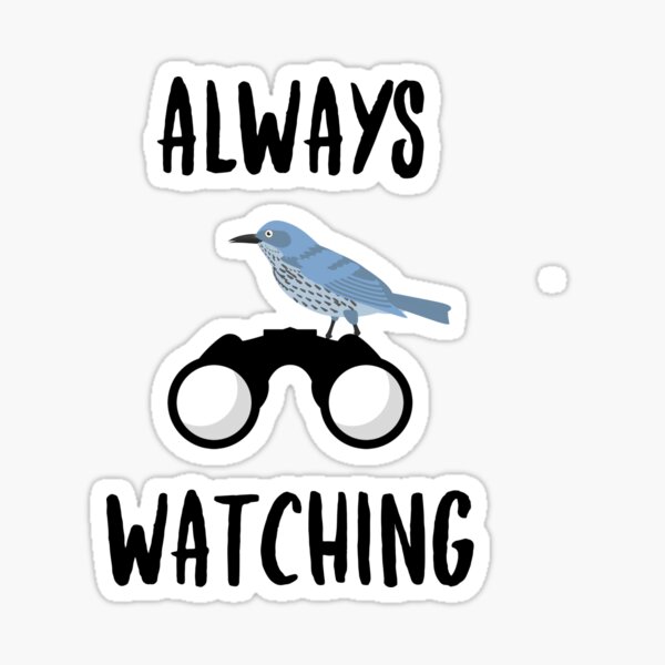 Stickers Duck Cute Bird Stickers Birding Sticker Ornithology Sticker ...