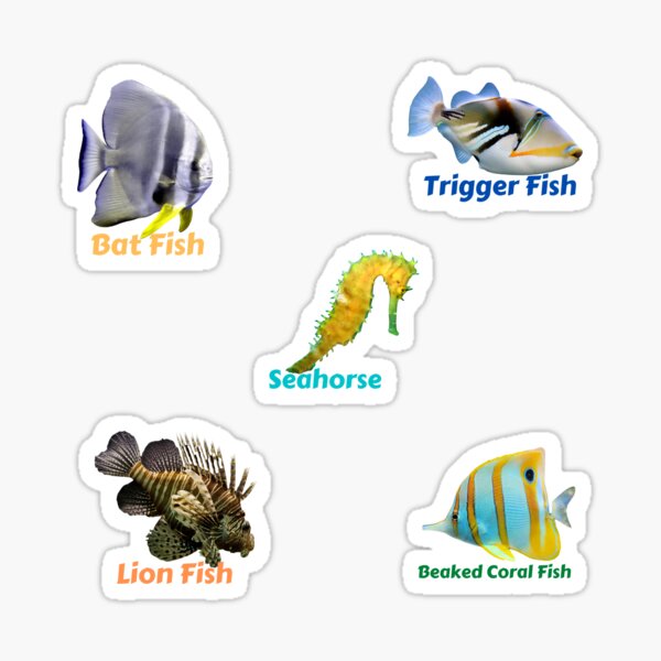 "Tropical Sea Fish" Sticker by Scubaloppy | Redbubble