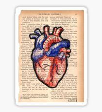 Anatomical Heart: Stickers | Redbubble