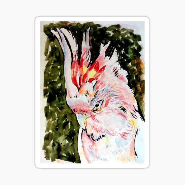 "Major Mitchell's Cocky" Sticker for Sale by poswin | Redbubble