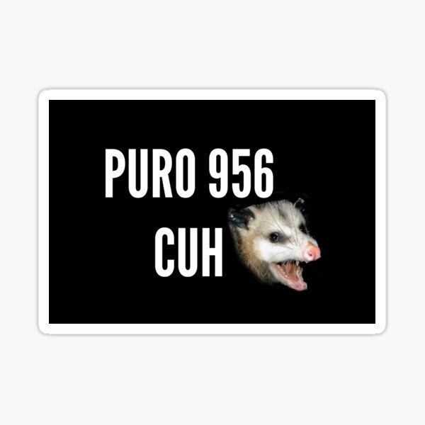 956 Cuh possum stuff > General Discussion > AR15.COM