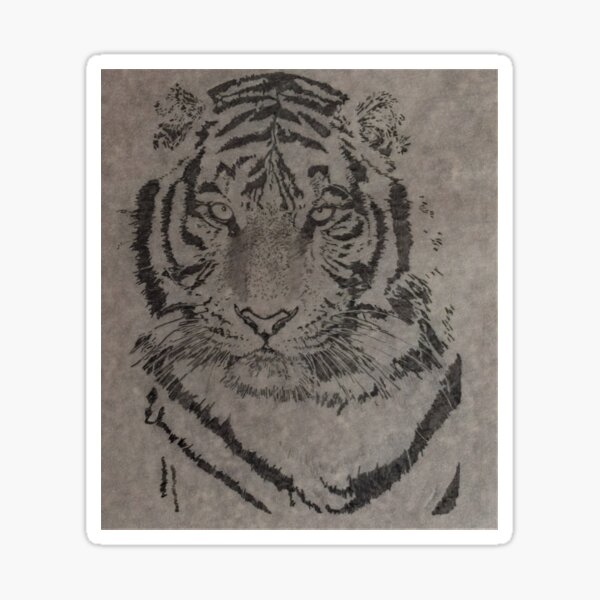 "Tiger tracing " Sticker for Sale by rwfowler | Redbubble