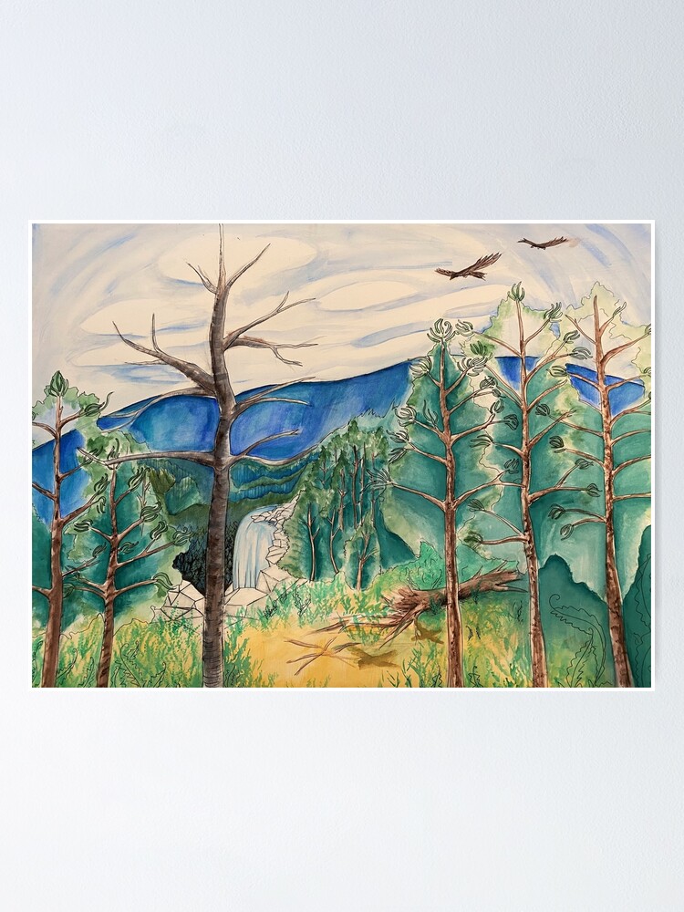 "Hawk Waterfall" Poster by PicturePanda | Redbubble
