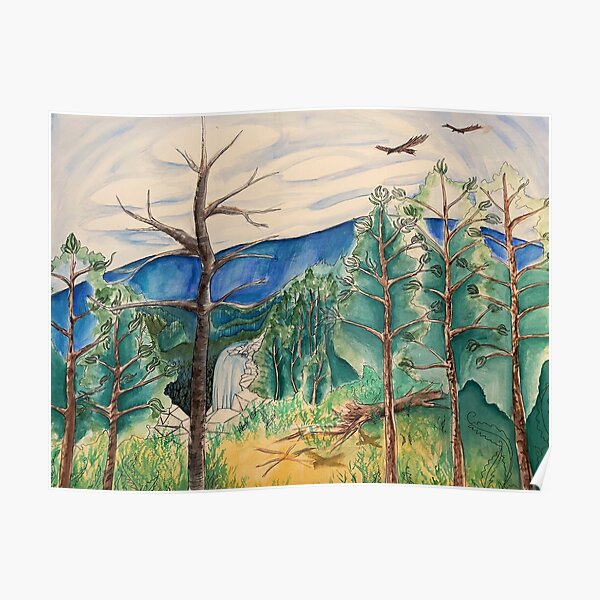 "Hawk Waterfall" Poster by PicturePanda | Redbubble