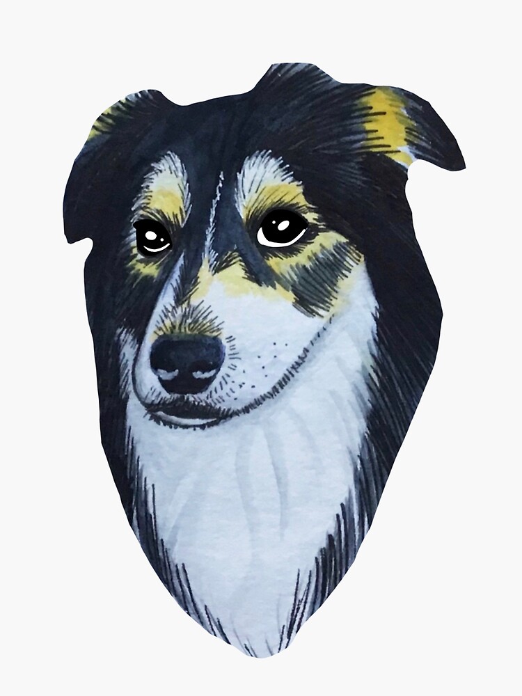 Pegatina «Border Collie adorable pegatinas» de Littlemoliart | Redbubble