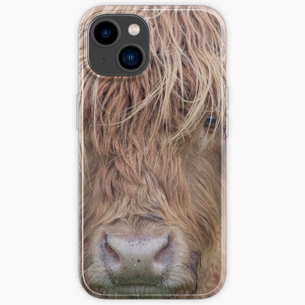 "Highland Cattle" iPhone Case for Sale by craftysquirrel | Redbubble
