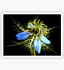 Wildflower: Stickers | Redbubble