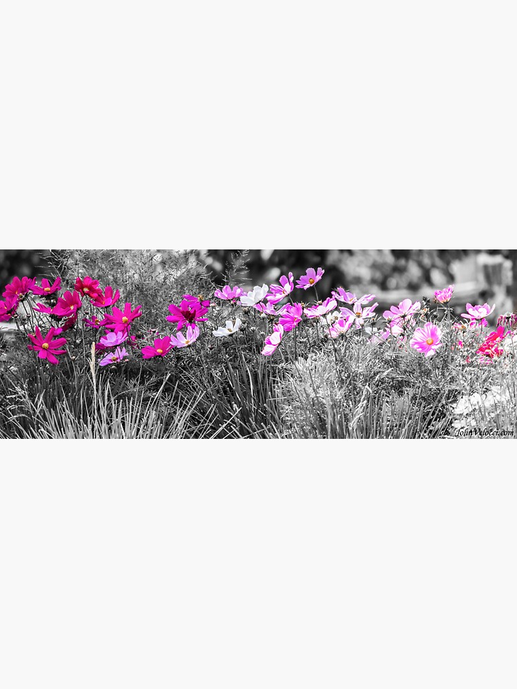 "Cosmos" Sticker by baneling | Redbubble