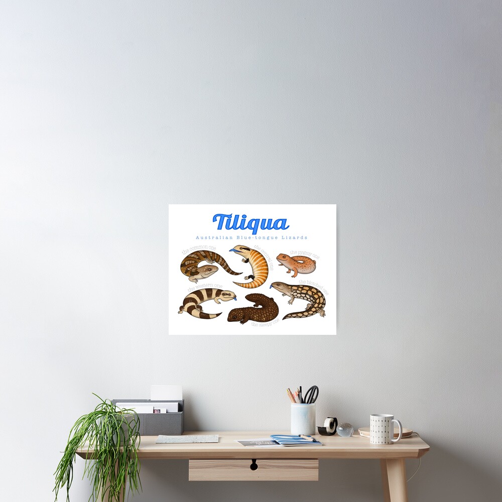 "Blue-tongue Lizards" Poster for Sale by miss-varanus | Redbubble