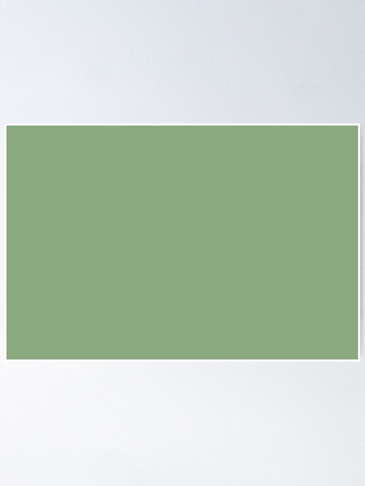"Medium Sage Green Solid Color Pairs To Sherwin Williams Lounge Green ...