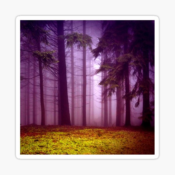 "fog" Sticker for Sale by SARiSON | Redbubble