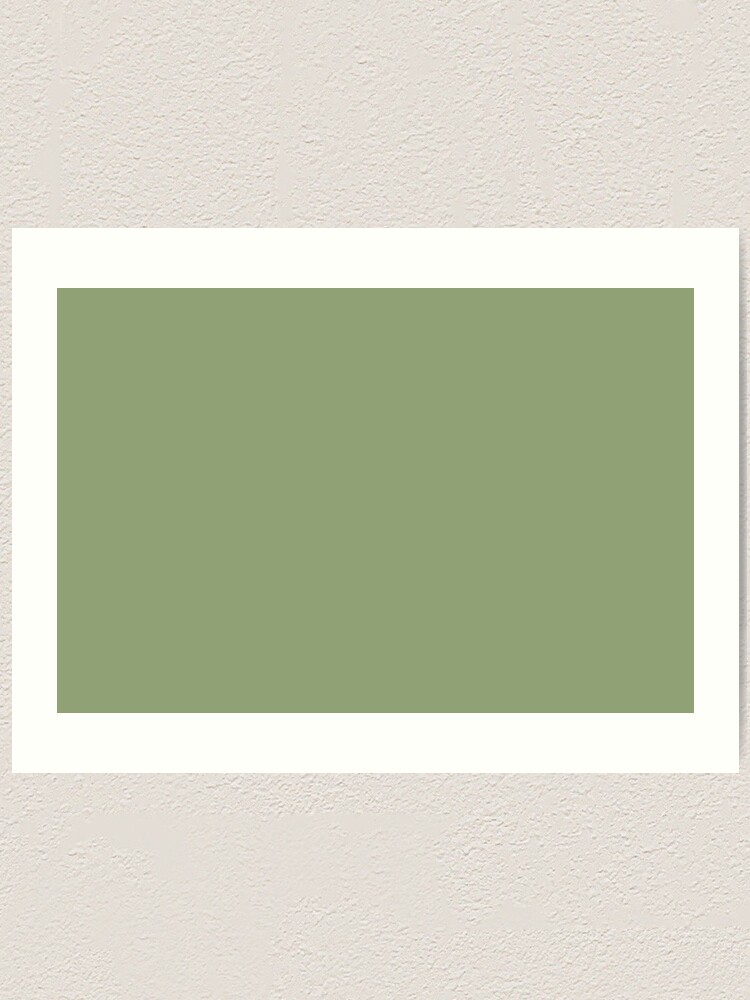 "Midtone Soft Green Solid Color Pairs To Sherwin Williams Broccoflower ...