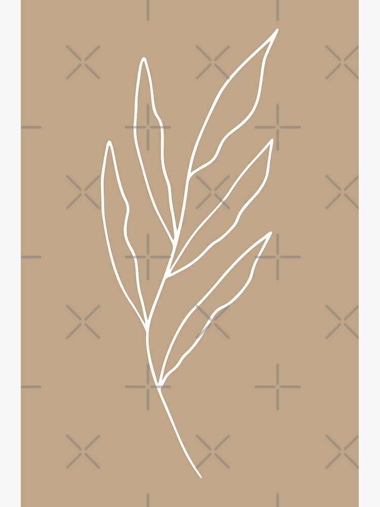 "Delicate Leaf Line Art" Photographic Print by SoloTravelerSt | Redbubble