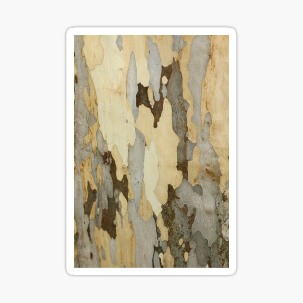 "Tree Bark " Sticker by AnthonyRae | Redbubble
