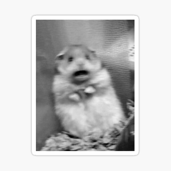 Hamster Scared Meme Gifts & Merchandise | Redbubble