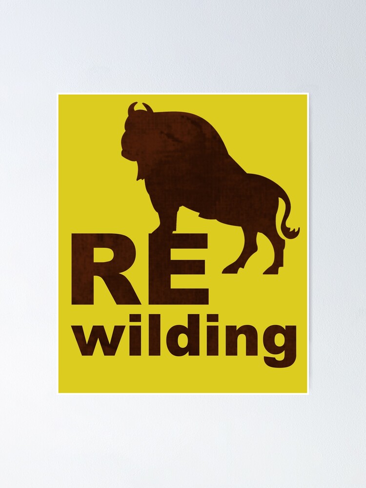 "Rewilding bison in nature" Poster by PaulS34 | Redbubble