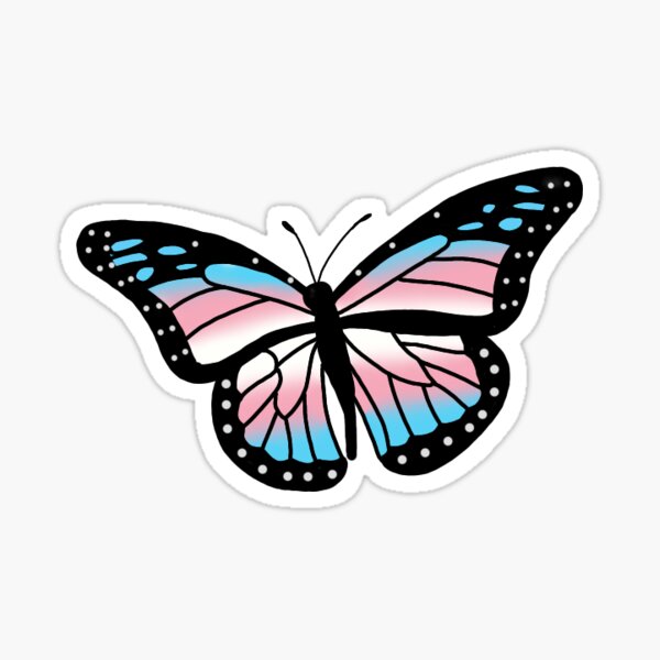 "Trans pride butterfly" Sticker for Sale by AmberPenelope | Redbubble