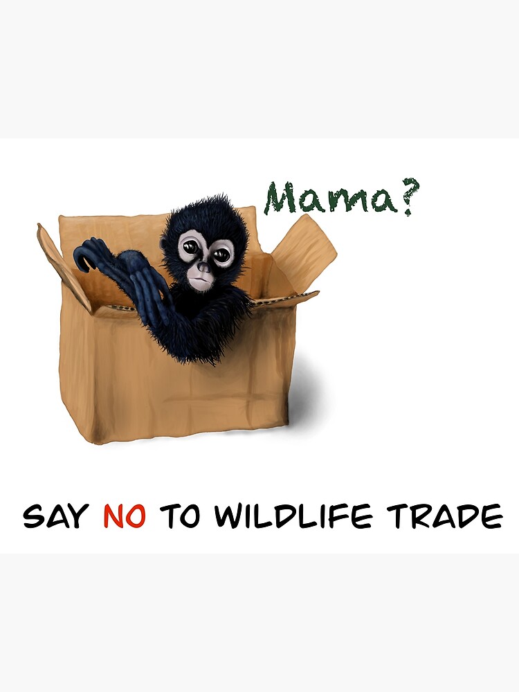 "Say No to illegal trade monkey" Poster for Sale by ARCASrescate ...