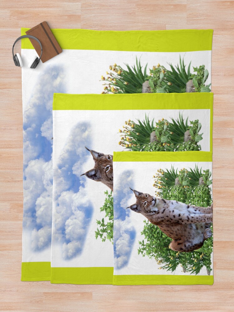 Manta «El lince común hoy conocemos varias especies de estos animales ...