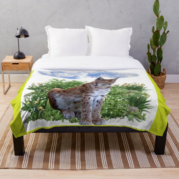 Manta «El lince común hoy conocemos varias especies de estos animales ...