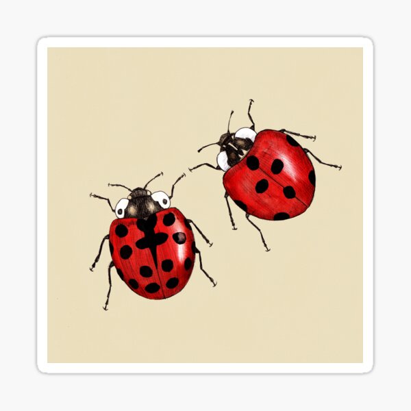 "Ladybirds" Sticker for Sale by djrbennett | Redbubble